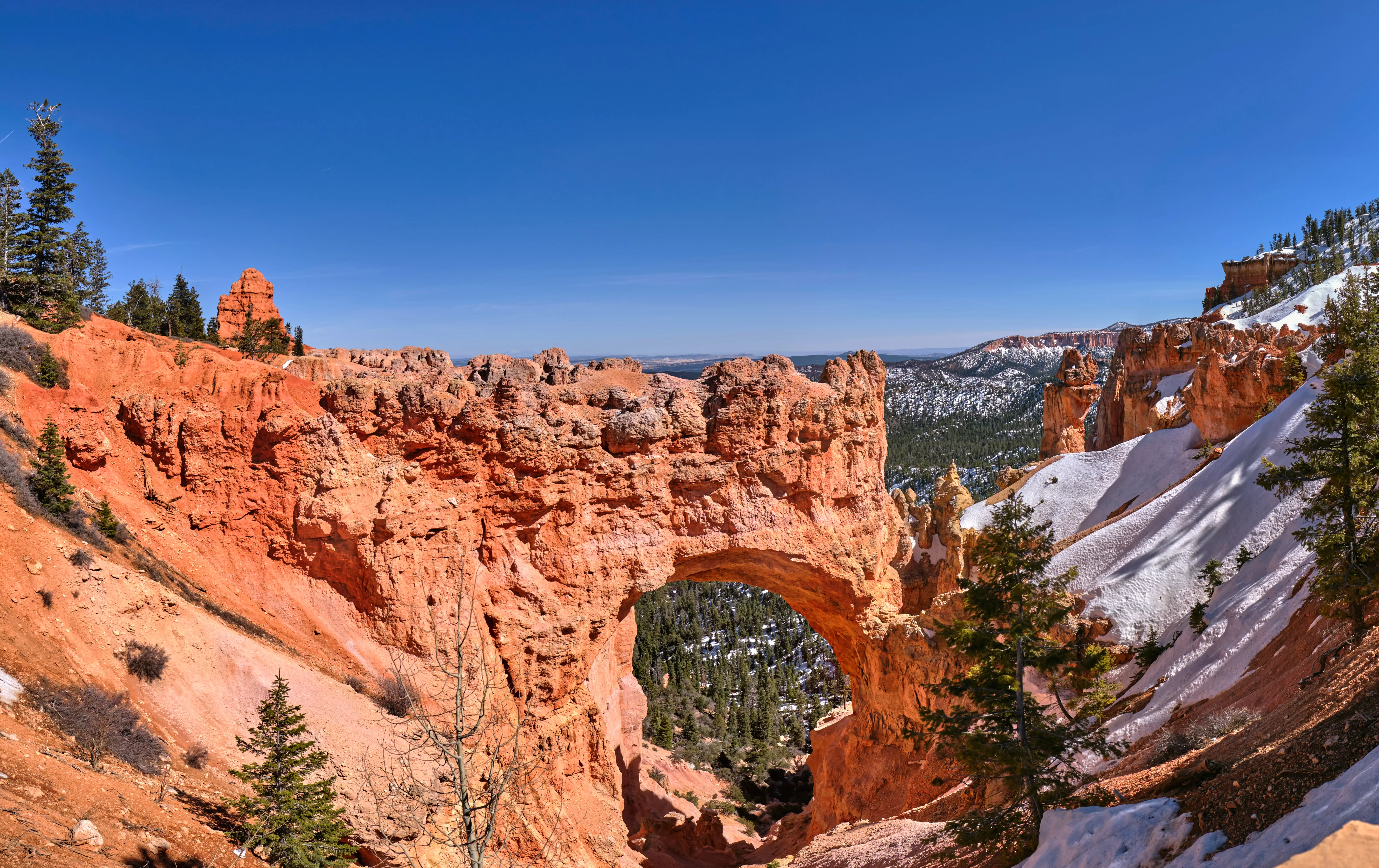 Bryce Canyon þjóðgarðurinn í Utah er þakinn snjó á sólríkum degi um miðjan vetur.