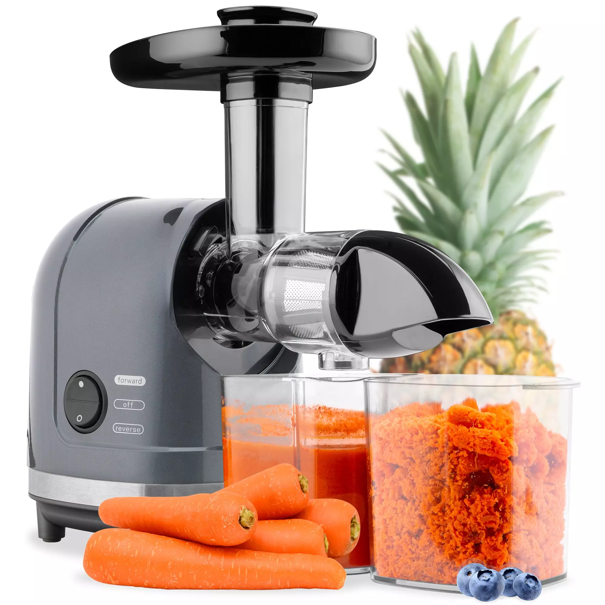 Lues Masticating Juicer