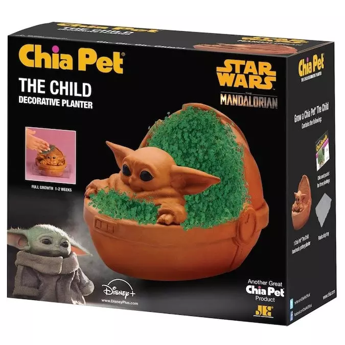 Chia Pet 1-in สีเขียวในภาชนะที่ปลูกได้ (พืชและน้ำ)