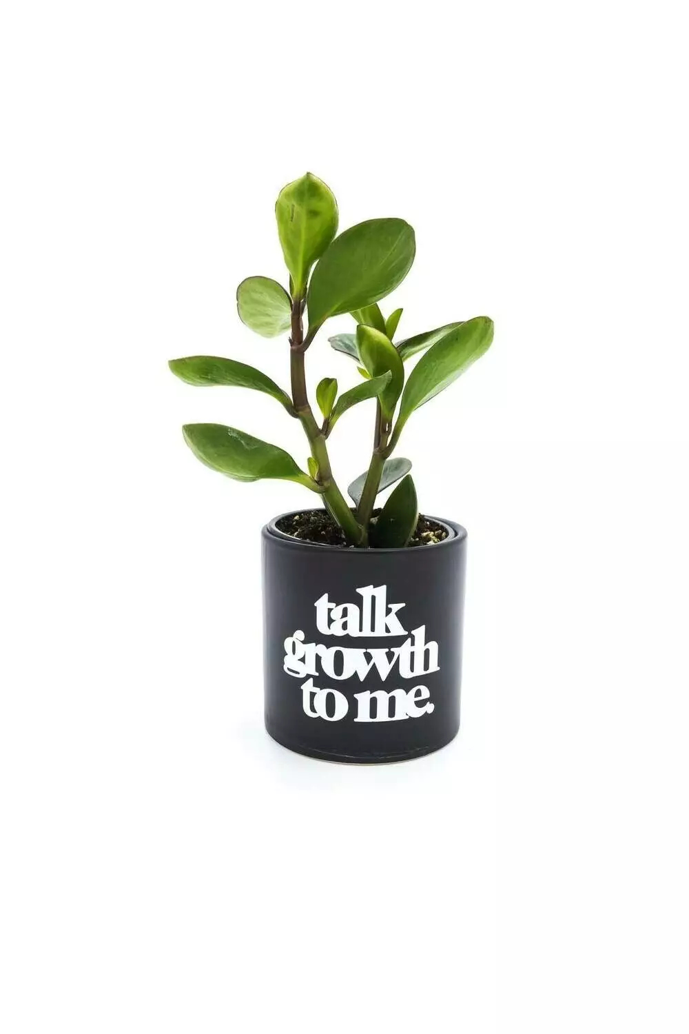 Ceramiczna sadzarka Talk Growth to Me