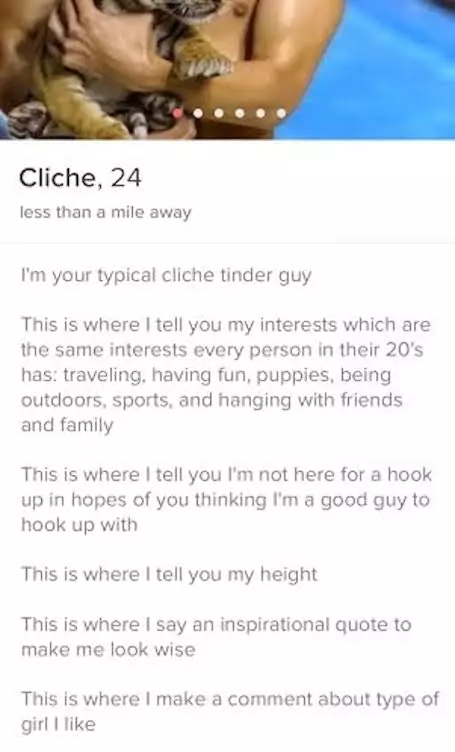 Tinder ອັນຕະຫຼົກນີ້ສະຫຼຸບໄດ້ຢ່າງສົມບູນກ່ຽວກັບສິ່ງທີ່ຜູ້ຊາຍໃສ່ໃນໂປຣໄຟລ໌ຂອງເຂົາເຈົ້າ (ຮູບພາບ) 137724_1