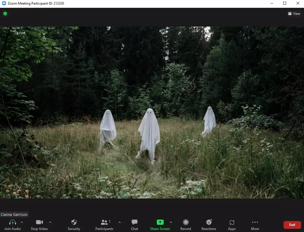 Bu korkutucu Zoom arka planları hayalet figürler içerir.