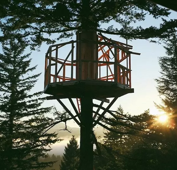 Un tipo constrúe a casa na árbore dos seus soños cunhas vistas absolutamente impresionantes (fotos) 15933_4