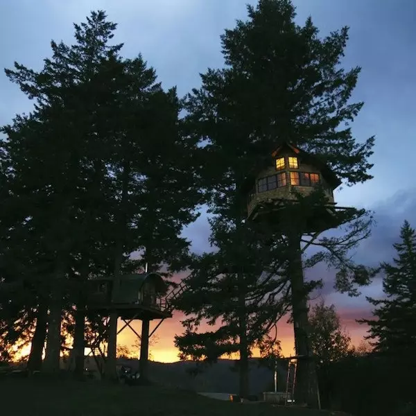 Un tipo constrúe a casa na árbore dos seus soños cunhas vistas absolutamente impresionantes (fotos) 15933_8