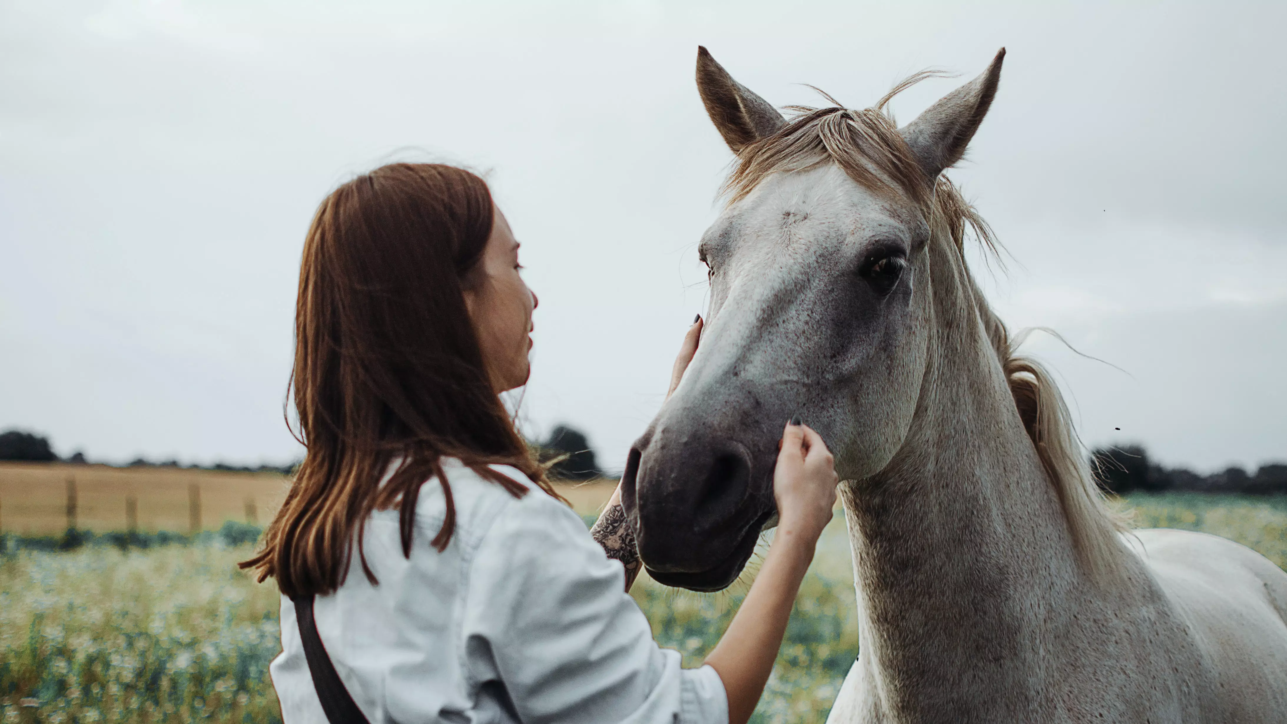 Cada signe del zodíac té un animal que l'acompanya i aquí teniu el vostre