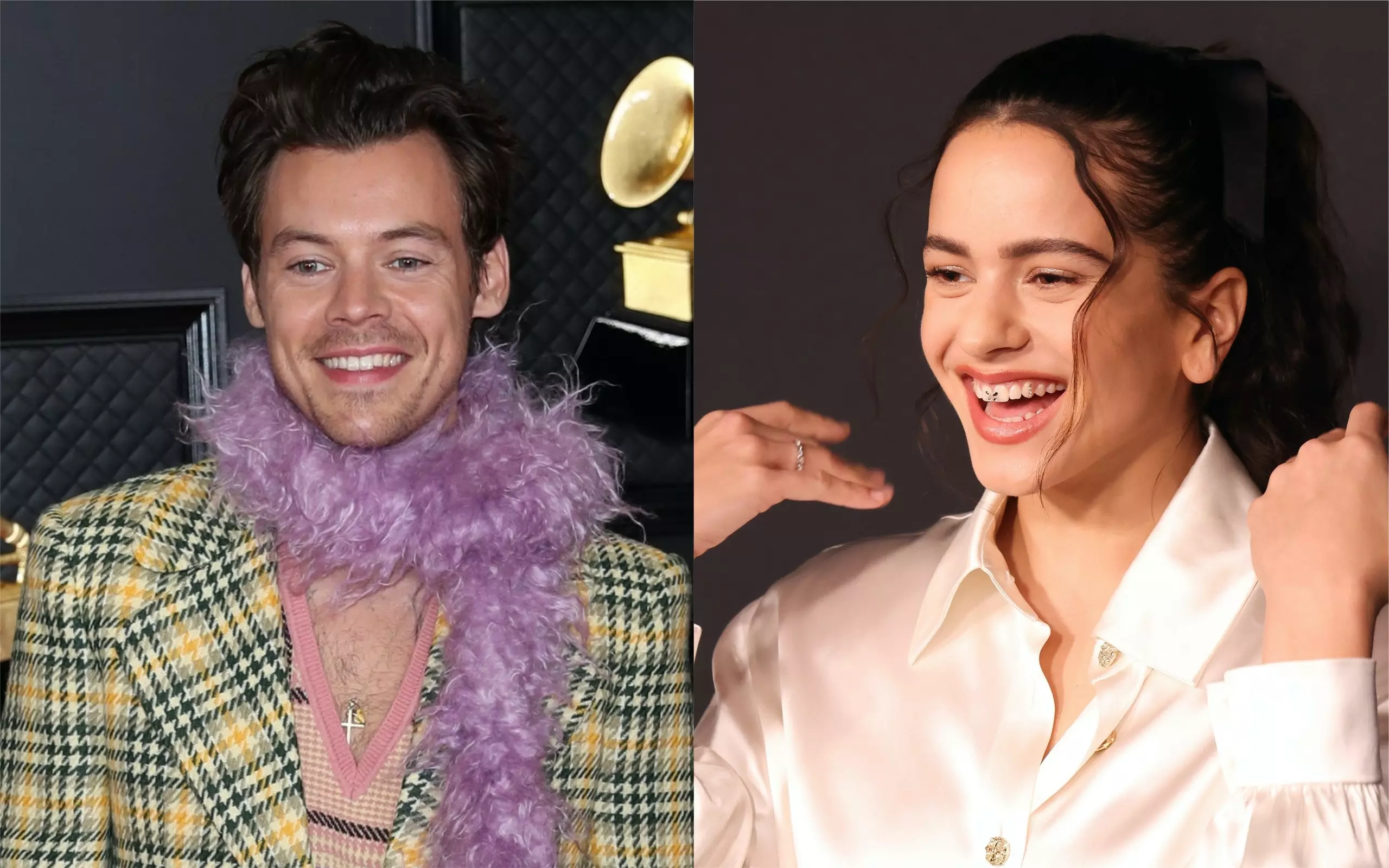 Rosalía sa at Harry Styles sendte SMS til det gamle telefonnummeret hennes, og en fremmed svarte