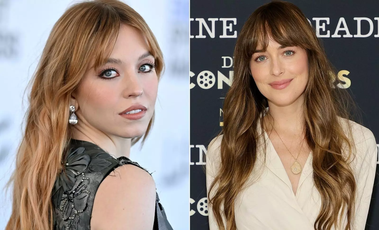 Sydney Sweeney rejoint le Spider-Verse avec Dakota Johnson