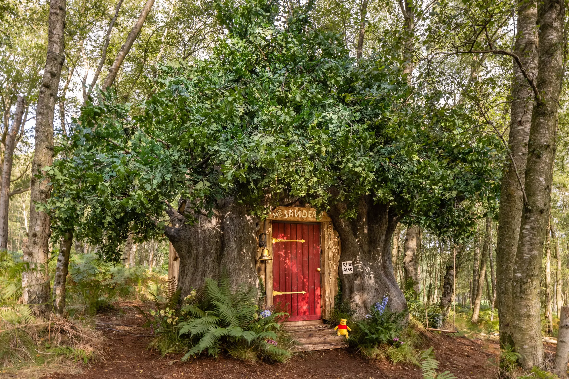 Qëndroni në Airbnb në këtë shtëpi pemësh 'Winnie The Pooh' për vetëm 105 dollarë