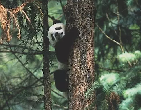 Konsantre se pouvwa; Sèvi ak li avèk sajès