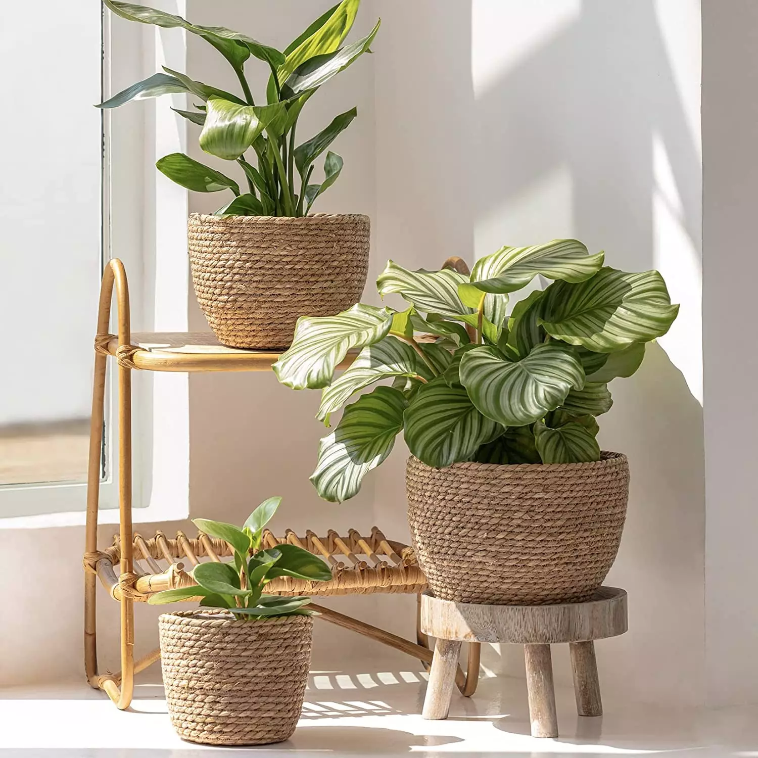 La Jolíe Muse Seagrass Planter Basket 室内，花盆 3 件装