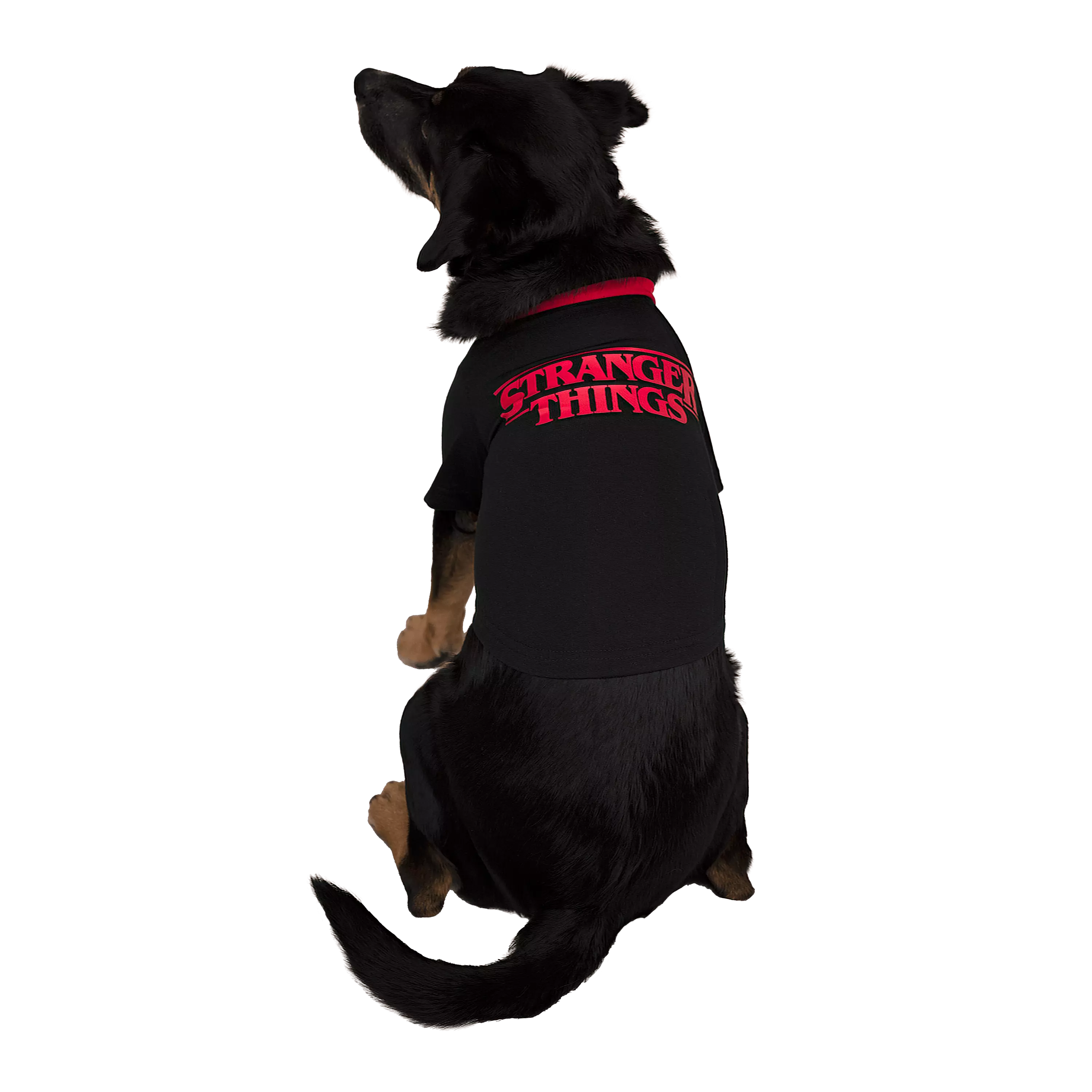 PetSmart'ın 'Stranger Things' koleksiyonu köpek tees içerir.