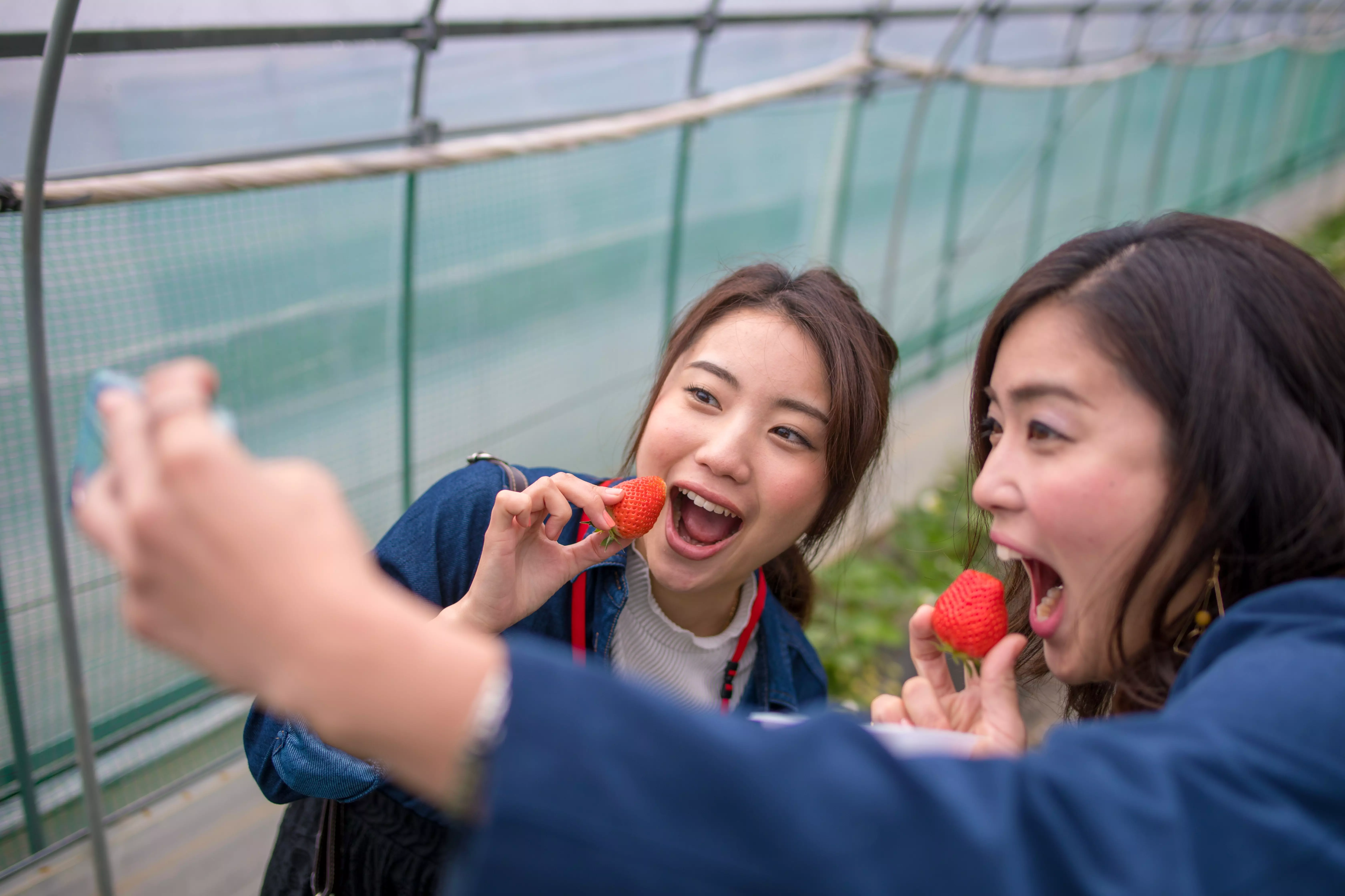 Ụmụnne nwanyị 2 na-ewere selfie na-ejide strawberries, na-achọ okwu strawberry, puns strawberry, straw...