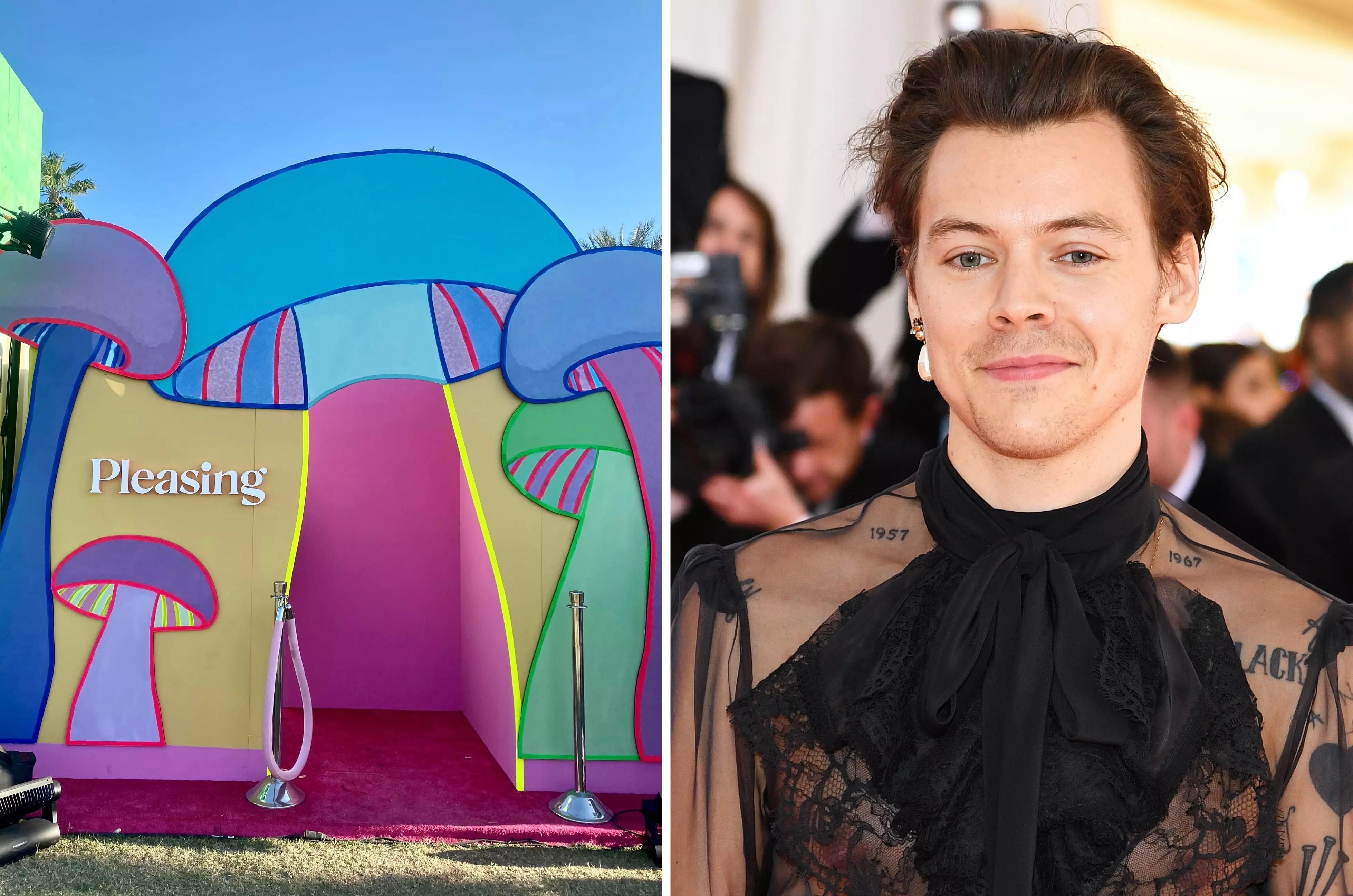 Ndiye kwi-Harry Styles' eyolisayo iBar yasePoland, kwaye intle iTrippy