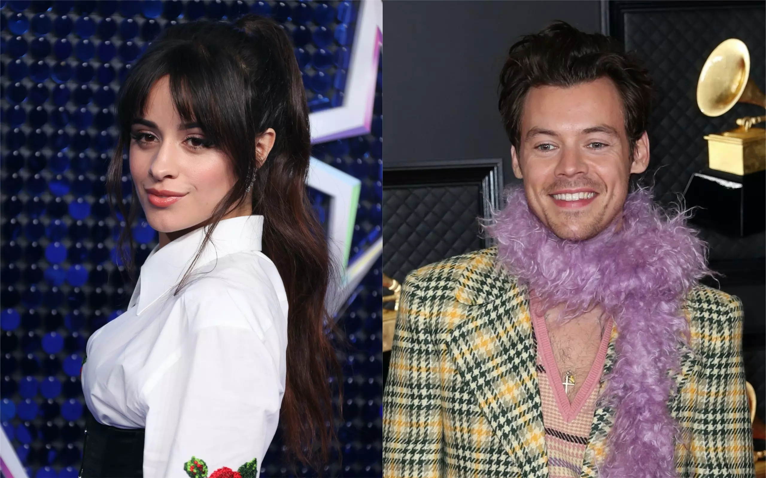 Camila Cabello dijo que audicionó para 'The X Factor' para "casarse" con Harry Styles