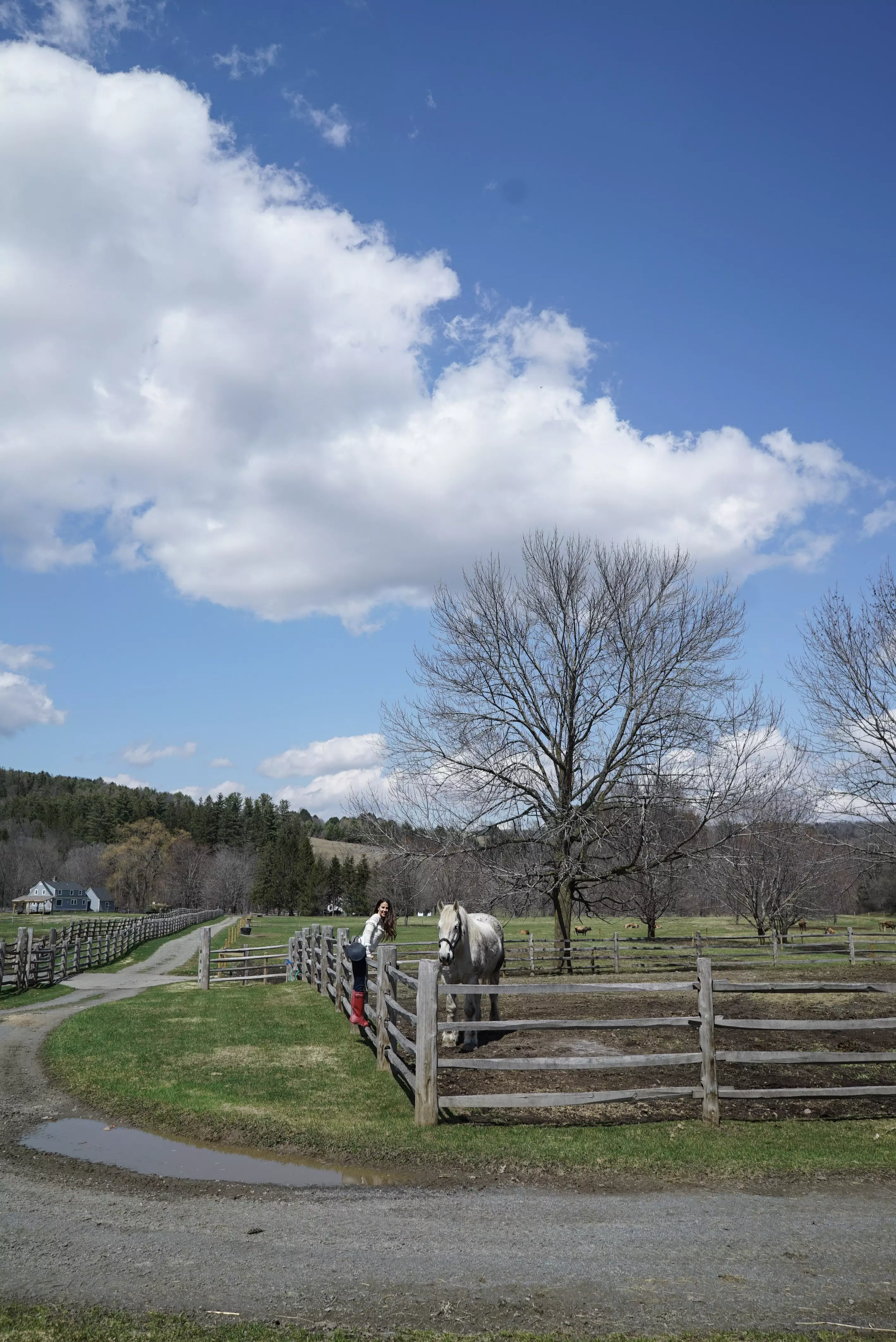 Ngumbara atanapi Bust: Woodstock, Vermont Nyaéta The Cozy Weekend Getaway Anjeun Peryogikeun 67586_16