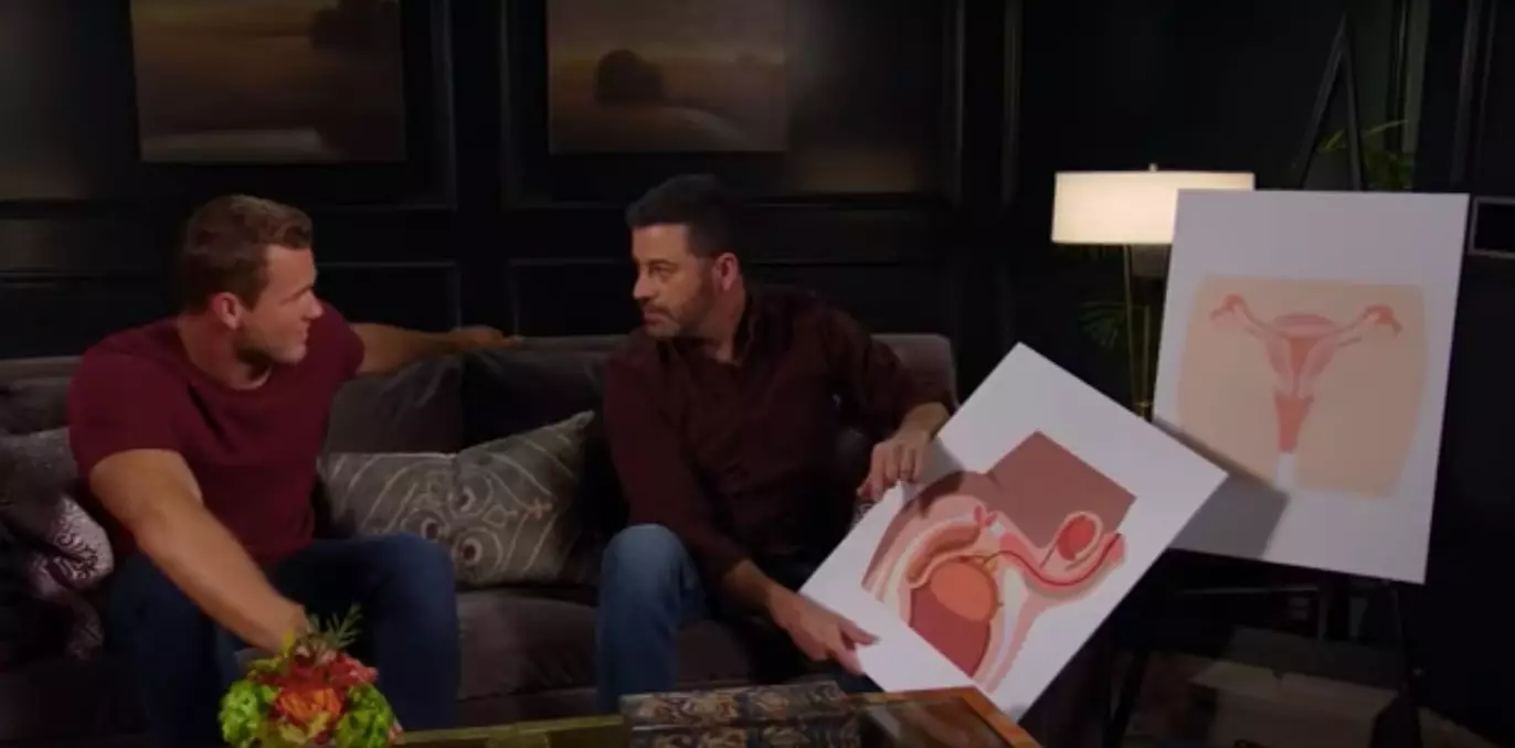 Jimmy Kimmel dao je 'Bachelor' Coltonu razgovor o najsmješnijim pticama i pčelama 71242_1